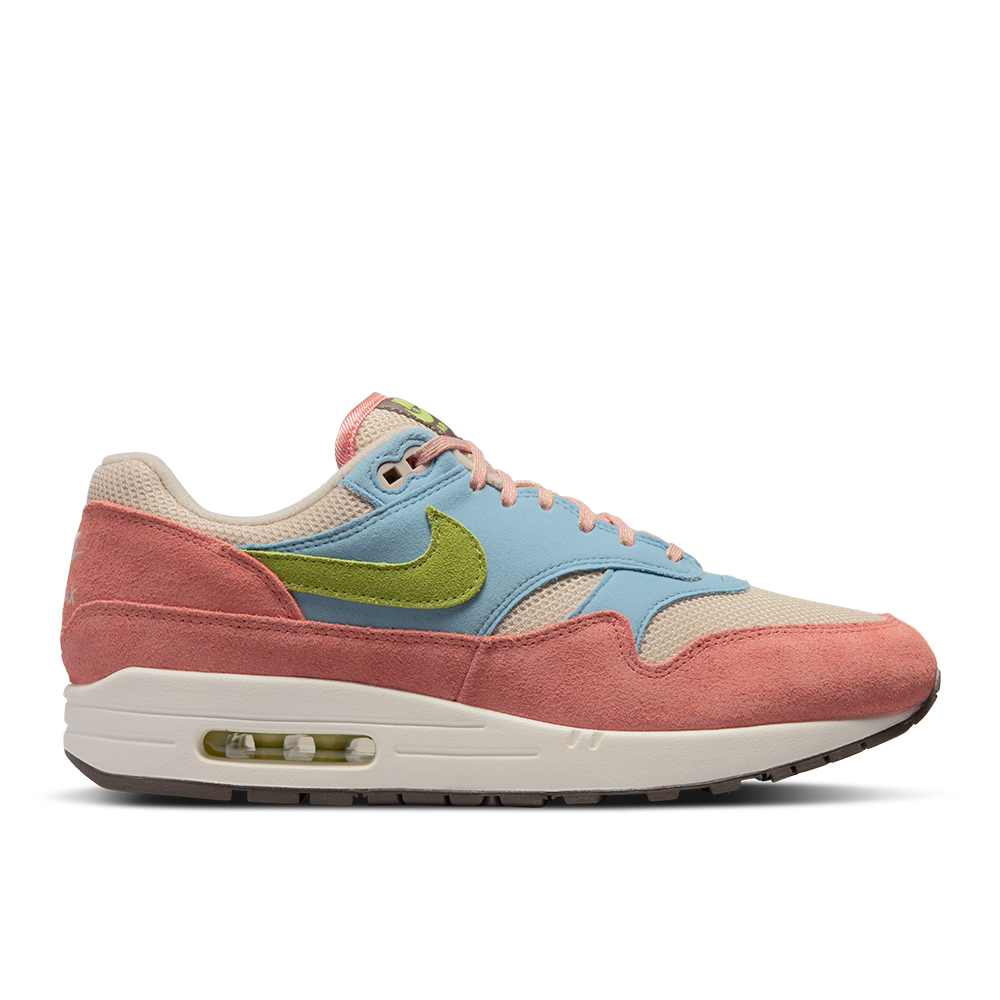 Tênis Nike Air Max 1 Nb Colorido